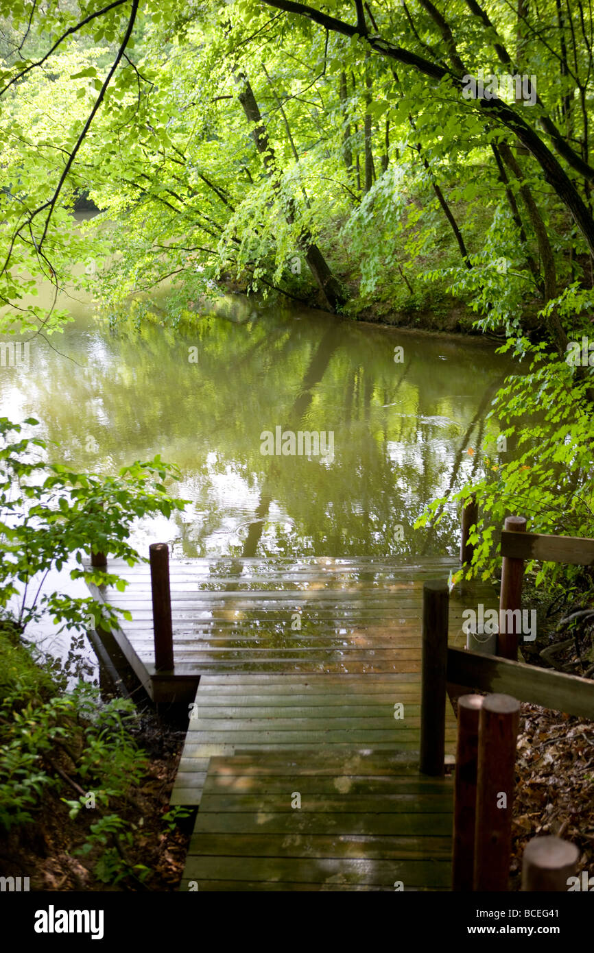 Lake surrounded by trees hi-res stock photography and images - Alamy