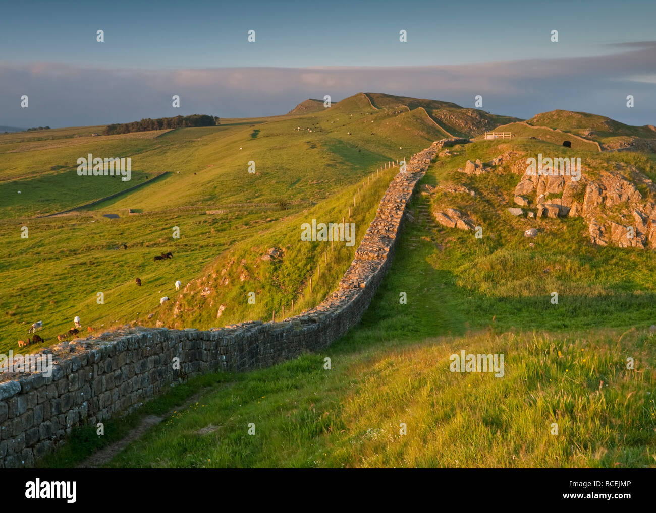 A stretch of Hadrian s Wall known as Thorny Doors near Caw Gap in the ...