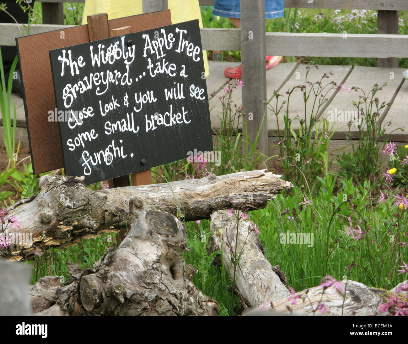 Wiggly tree hi-res stock photography and images - Alamy