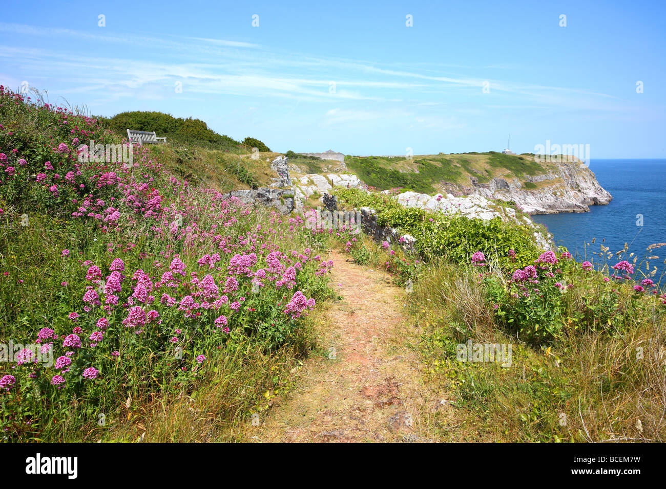 Images taken around Berry Head on the South Devon Coast, Great Britain ...