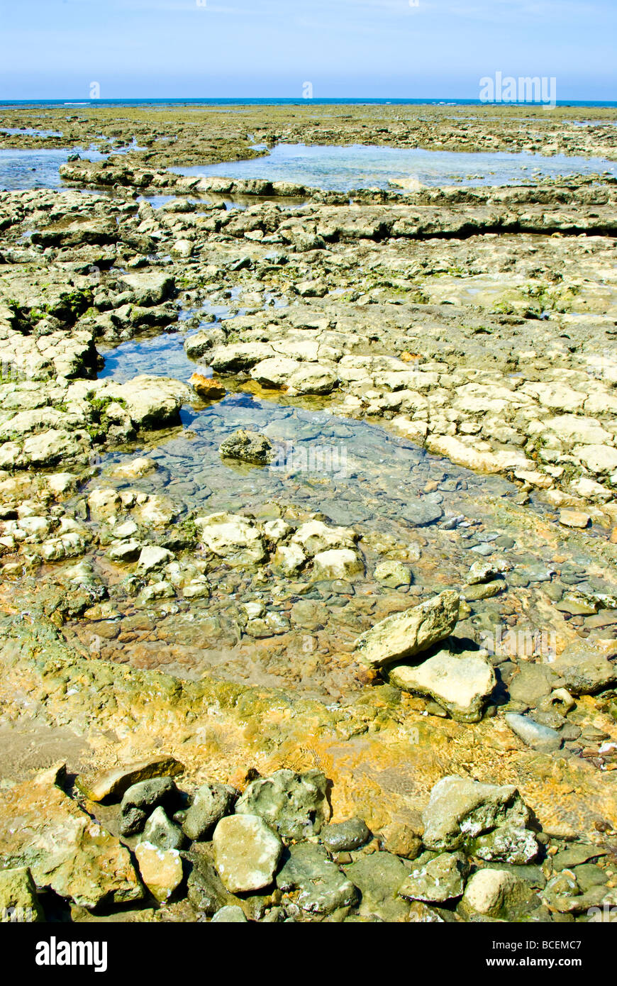 Tidal landscapes hi-res stock photography and images - Alamy