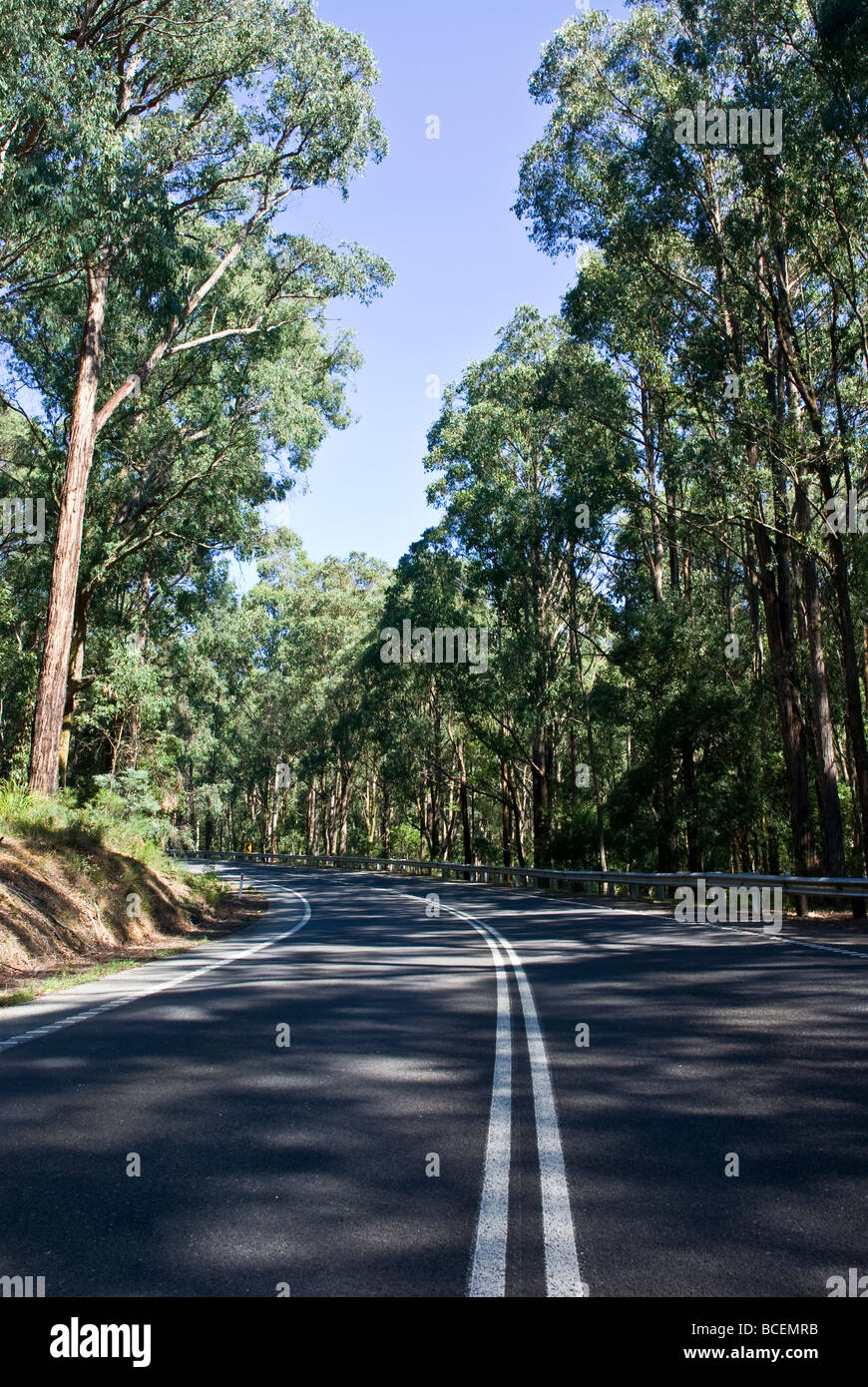 A road winds it's way around a mountainside in dappled forest light ...