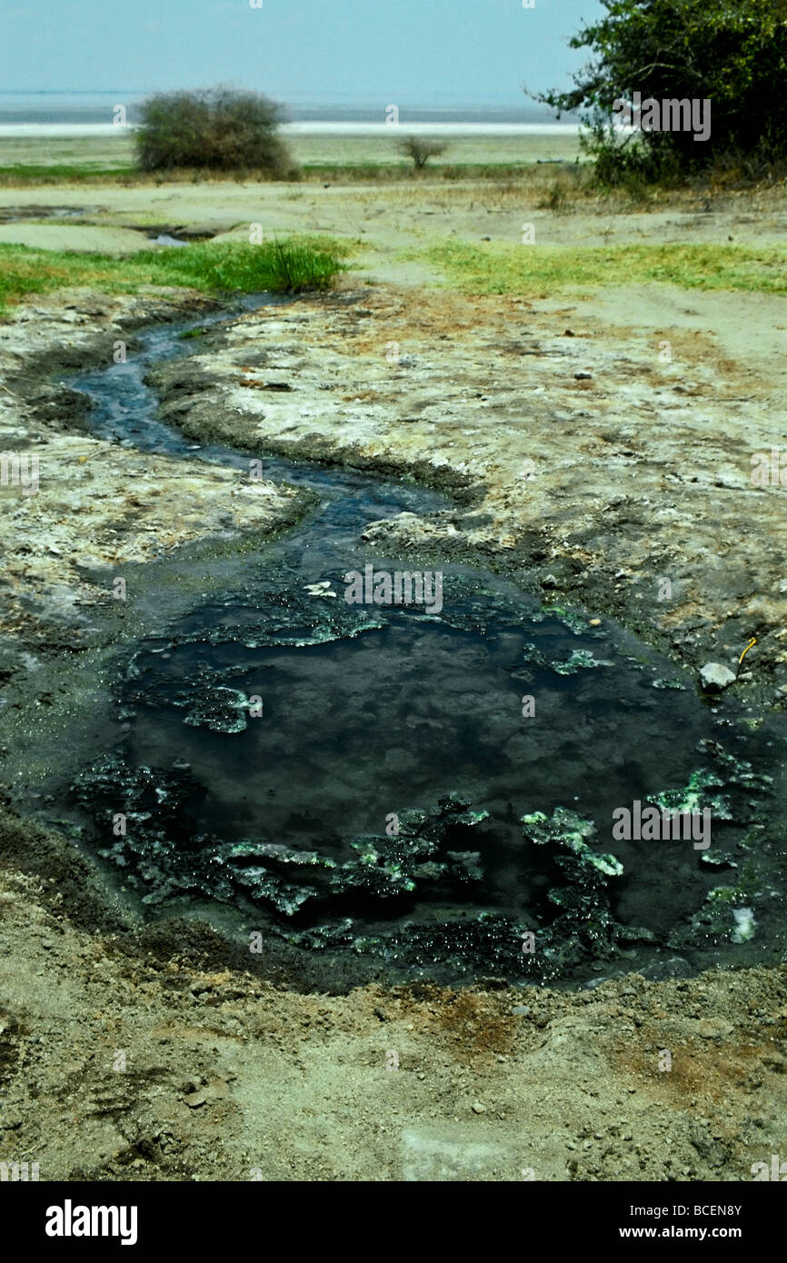 A natural spring covered in algae flows into the alkaline Lake Manyara ...