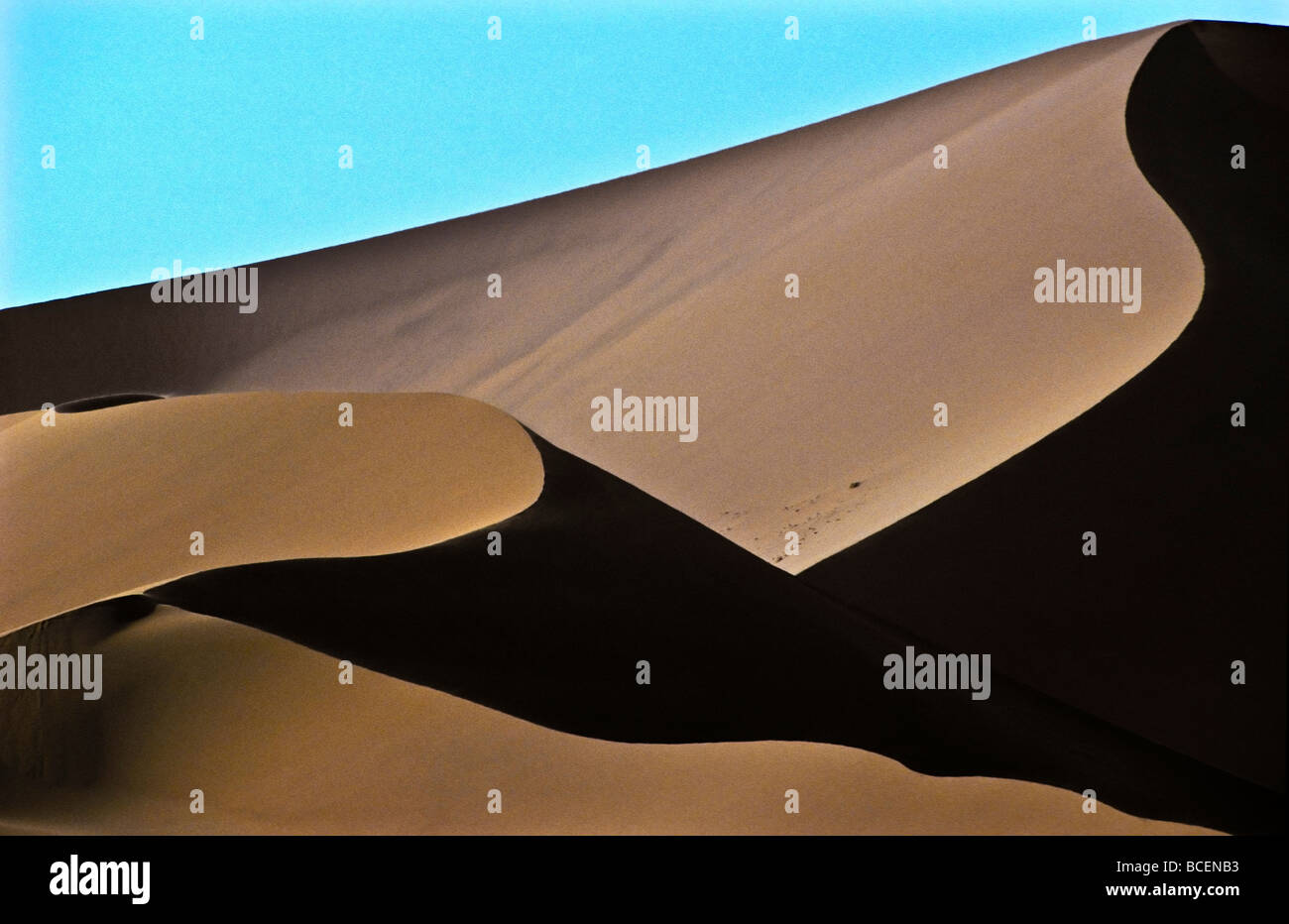 The elegant crest of a vast sand dune in shadow against a blue sky ...