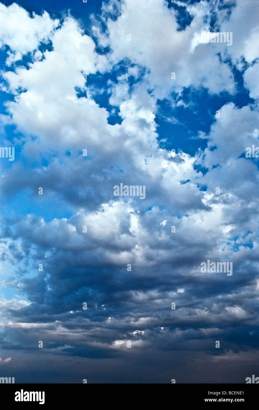 Billowing dry season storm clouds roil over the open savannah Stock ...