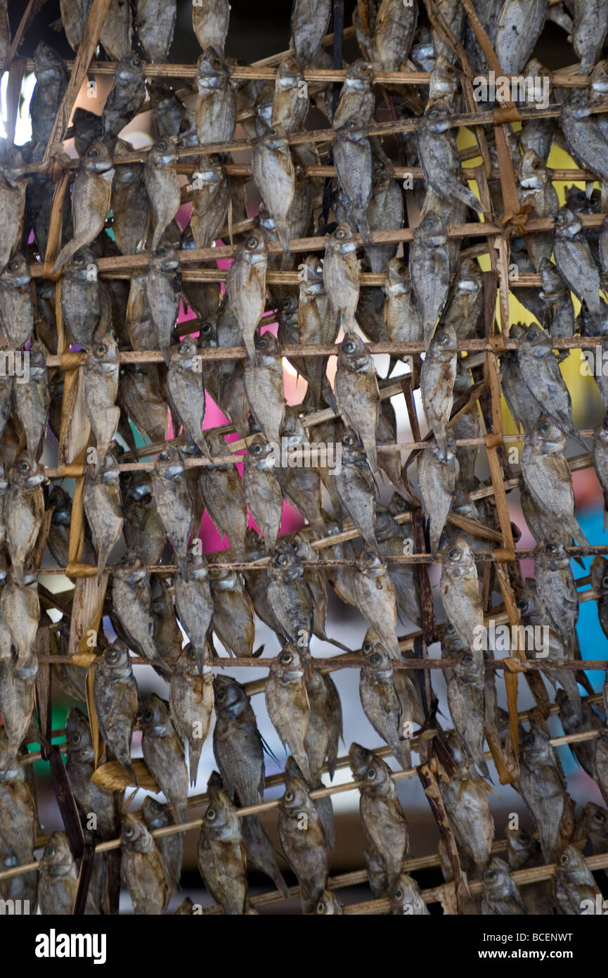 Fish drying on frame hi-res stock photography and images - Alamy