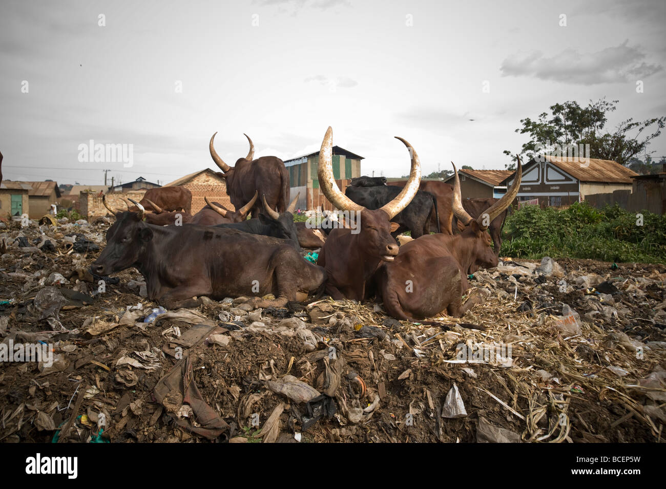 African slum hi-res stock photography and images - Alamy