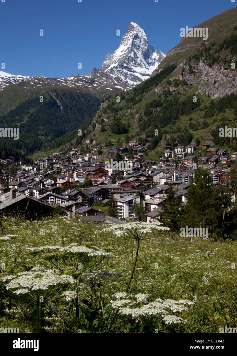 Matterhorn zermatt most famous swiss mountain hi-res stock photography ...