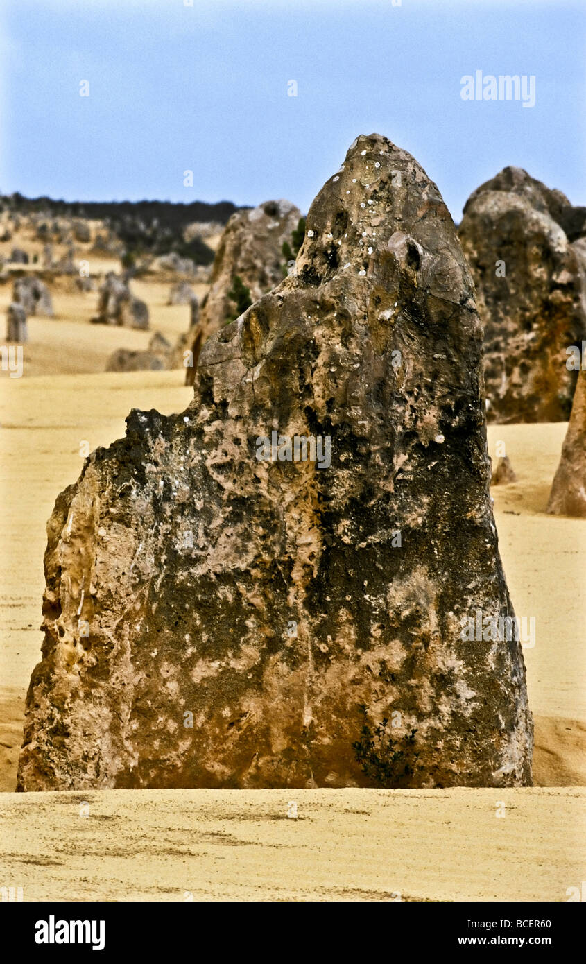 Ancient limestone pillars known as the Pinnacles rise from the desert ...