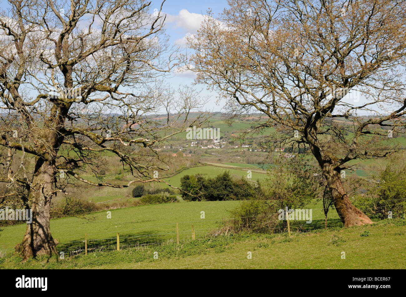 A glimpse of the mid Devon village of Bickleigh through the trees Stock ...