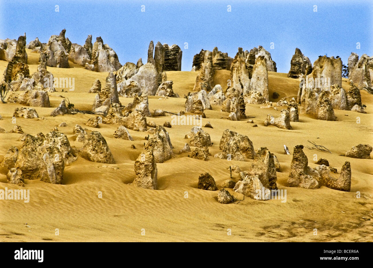 Ancient limestone pillars known as the Pinnacles rise from the desert ...