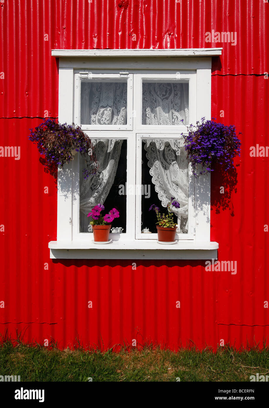Bright red tin siding on a traditional turf house in the village of ...