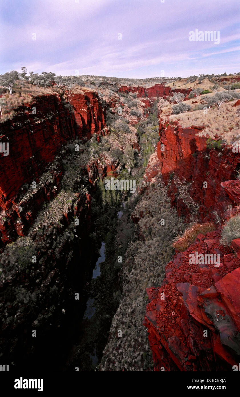 Spinifex Grass lines the walls of a deep red volcanic desert gorge ...