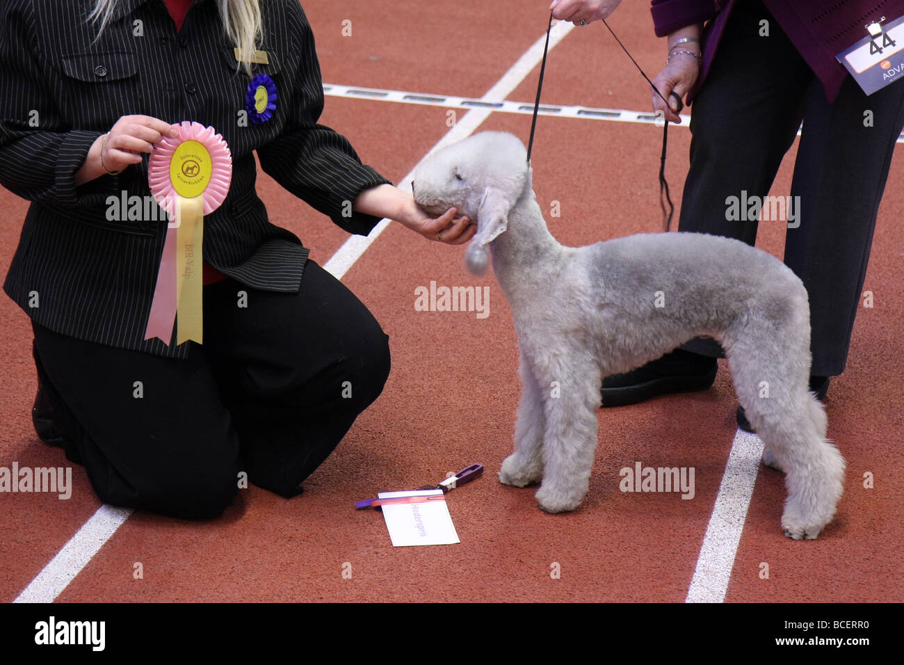 Competition exhibition hi-res stock photography and images - Alamy