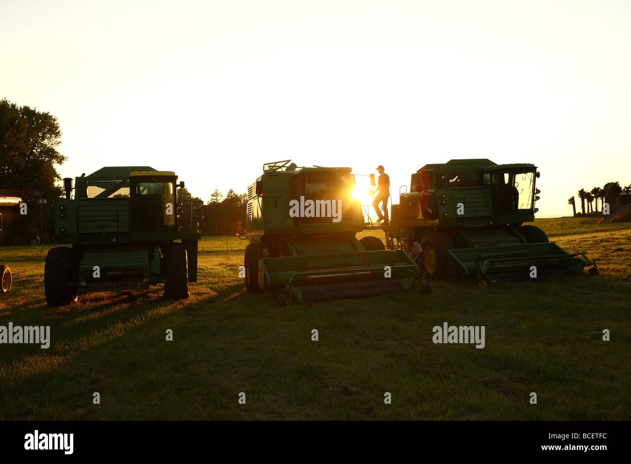 Combine silhouette hi-res stock photography and images - Alamy