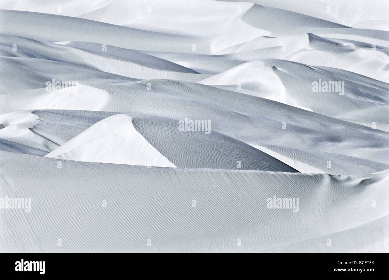 Pristine white sand dunes fold over one another like cotton sheets Stock Photo - Alamy