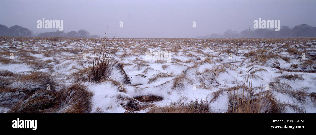 A alpine blizzard descends over a frozen plain in the High Country ...