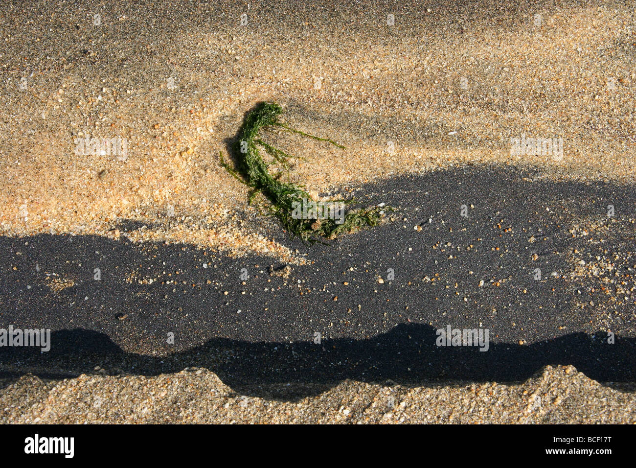 Humid sand hi-res stock photography and images - Alamy