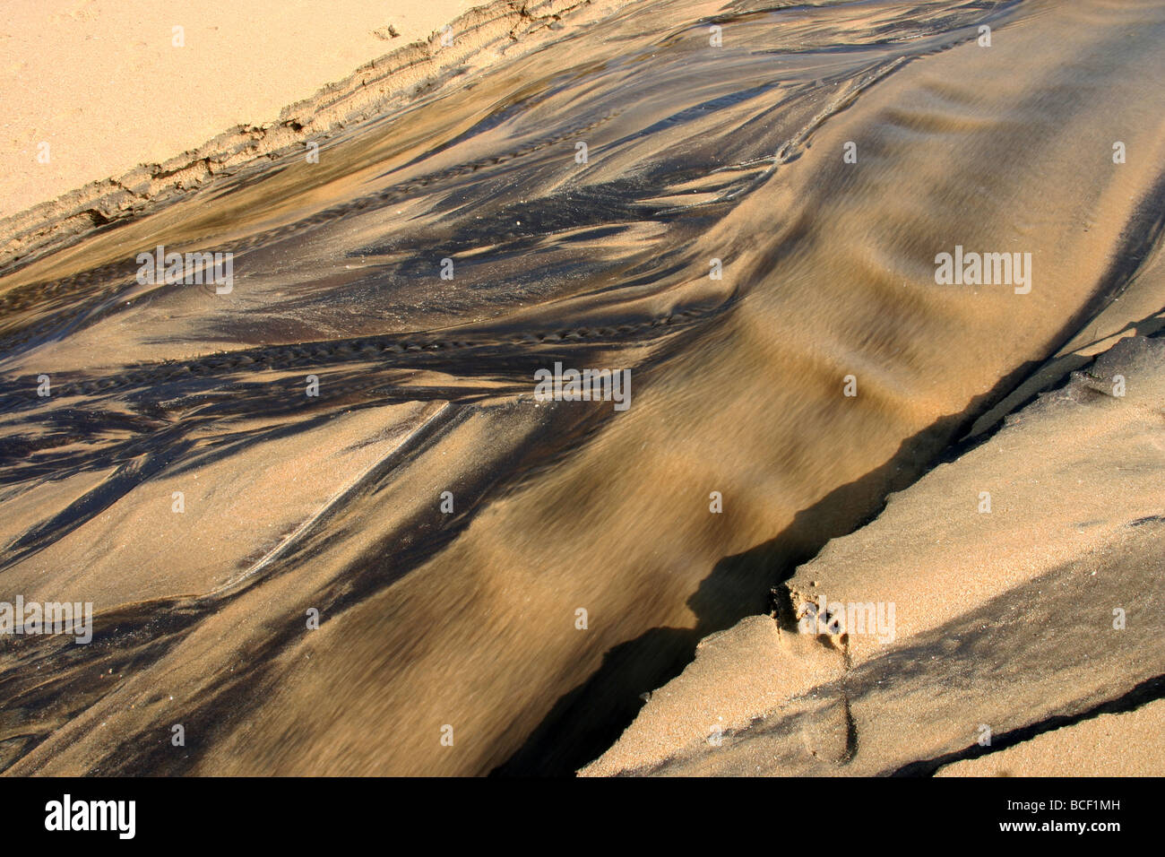 Brook in a beach Stock Photo - Alamy