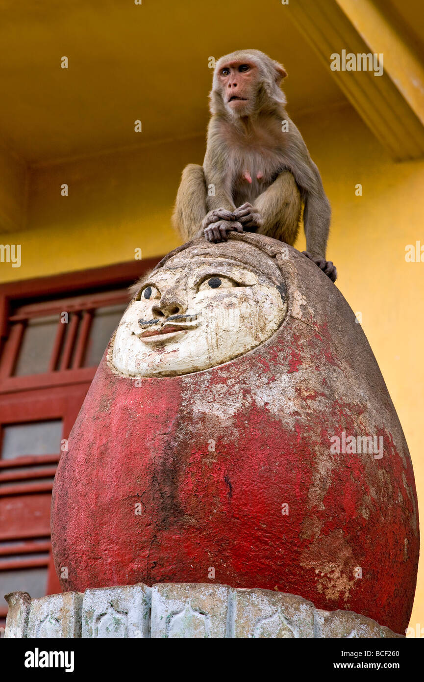 Popa hi-res stock photography and images - Alamy