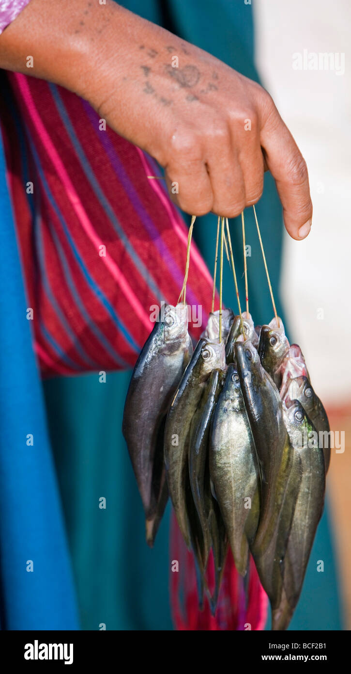 Woman holding a fish hi-res stock photography and images - Alamy