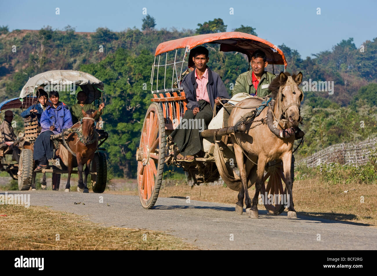 Myanmar, Burma, Mrauk U. Horse-drawn carts heading for the market near ...