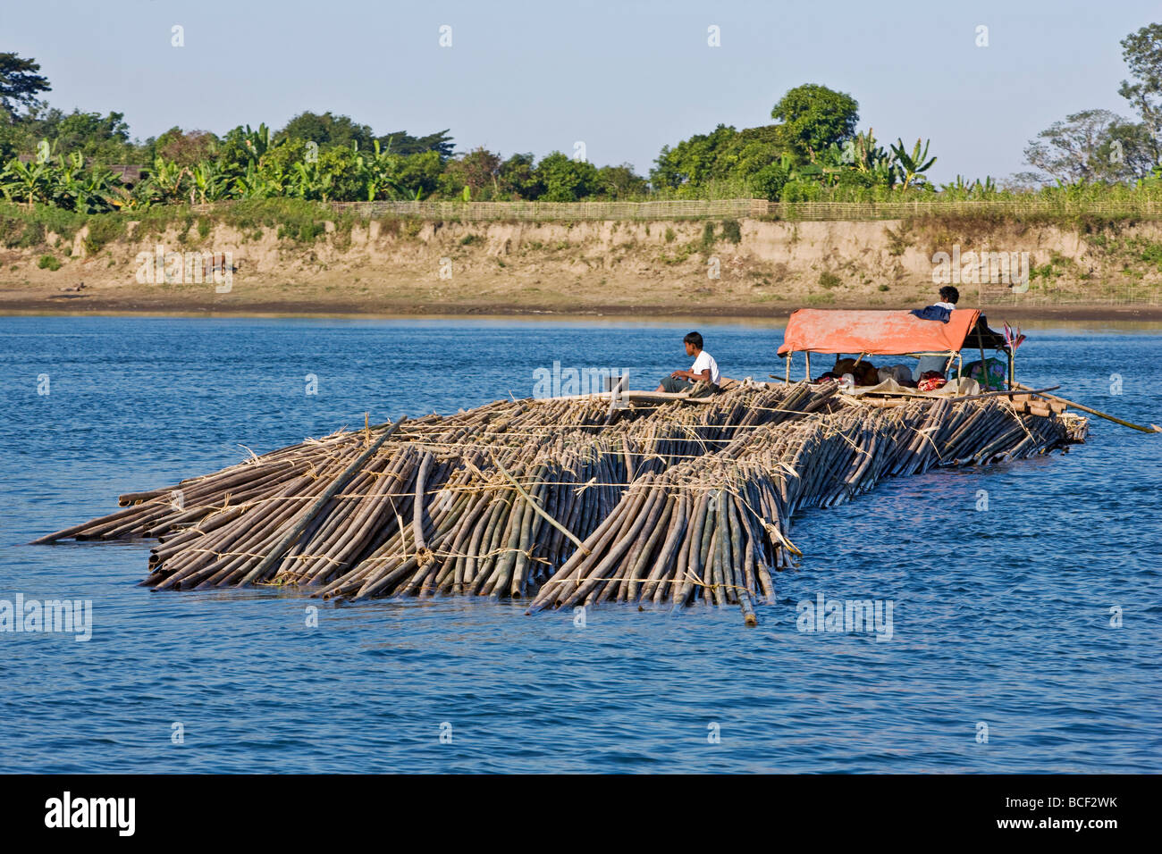 Myanmar, Burma, Lay Mro River. Floating bamboo down the Lay Myo River ...