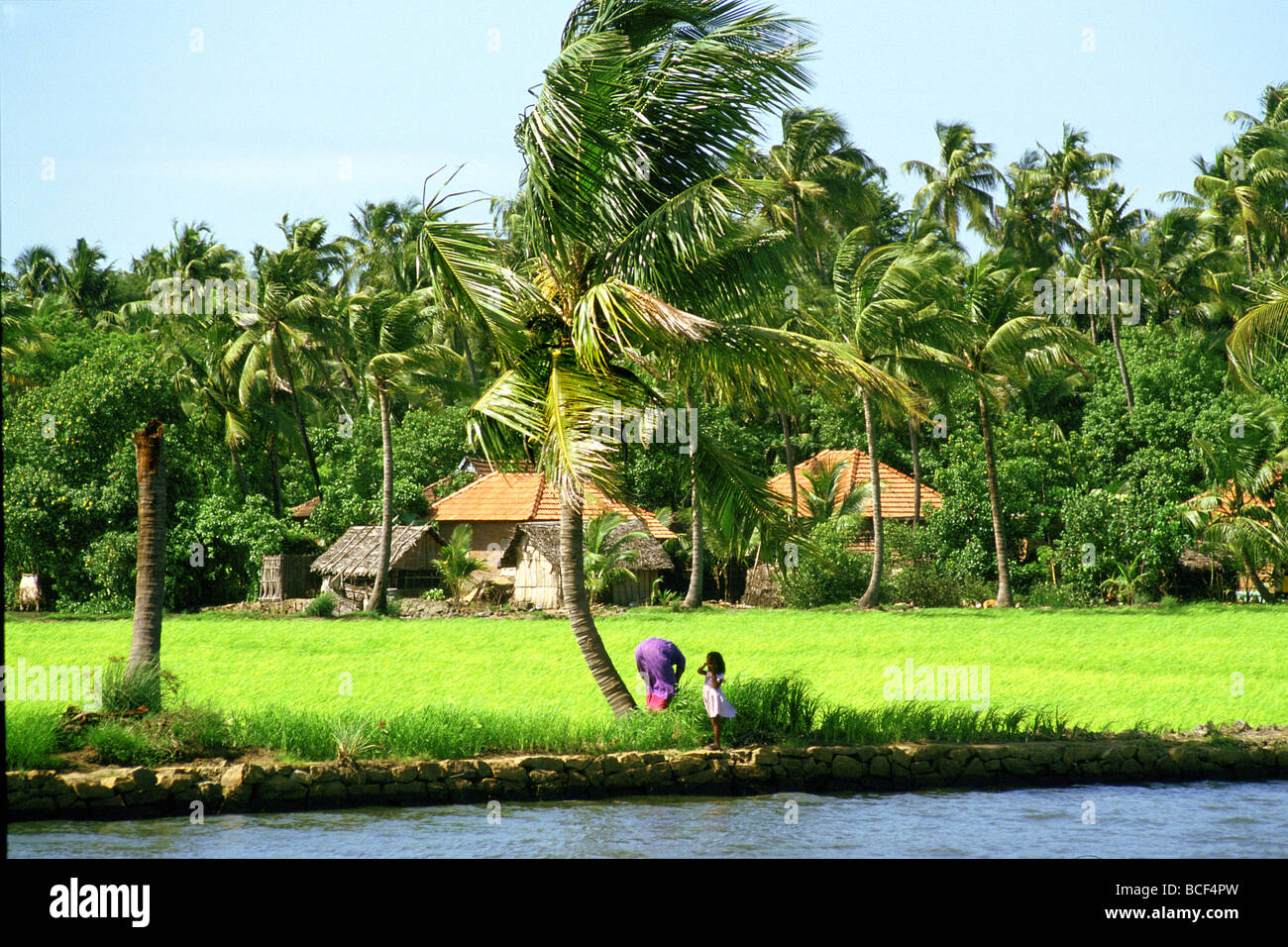 Tribes Kerala High Resolution Stock Photography and Images - Alamy