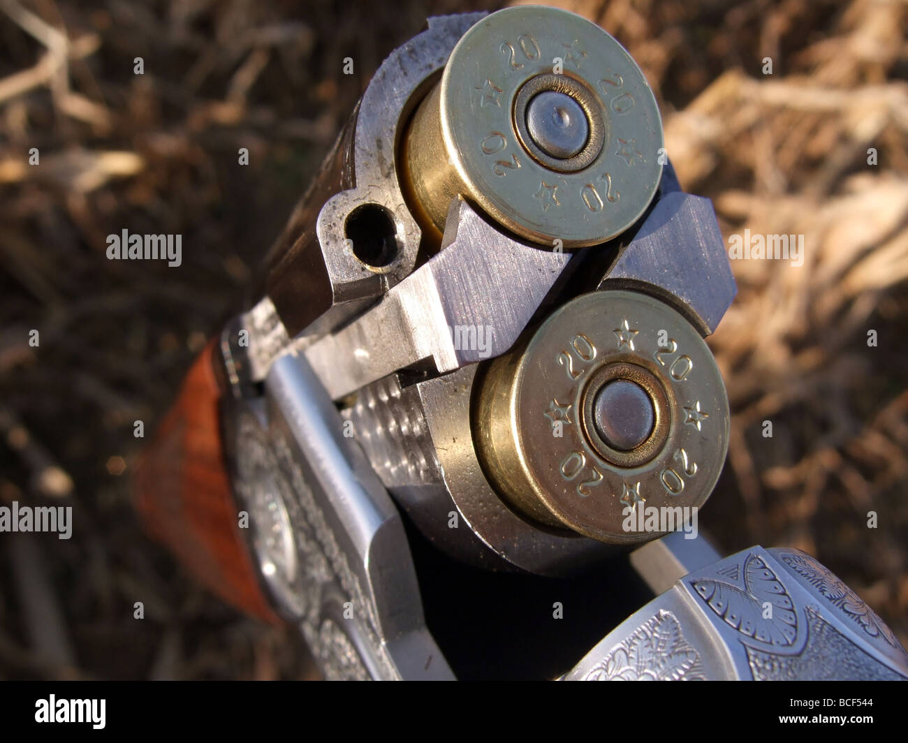 Fired Shotgun Cartridge High Resolution Stock Photography and Images ...