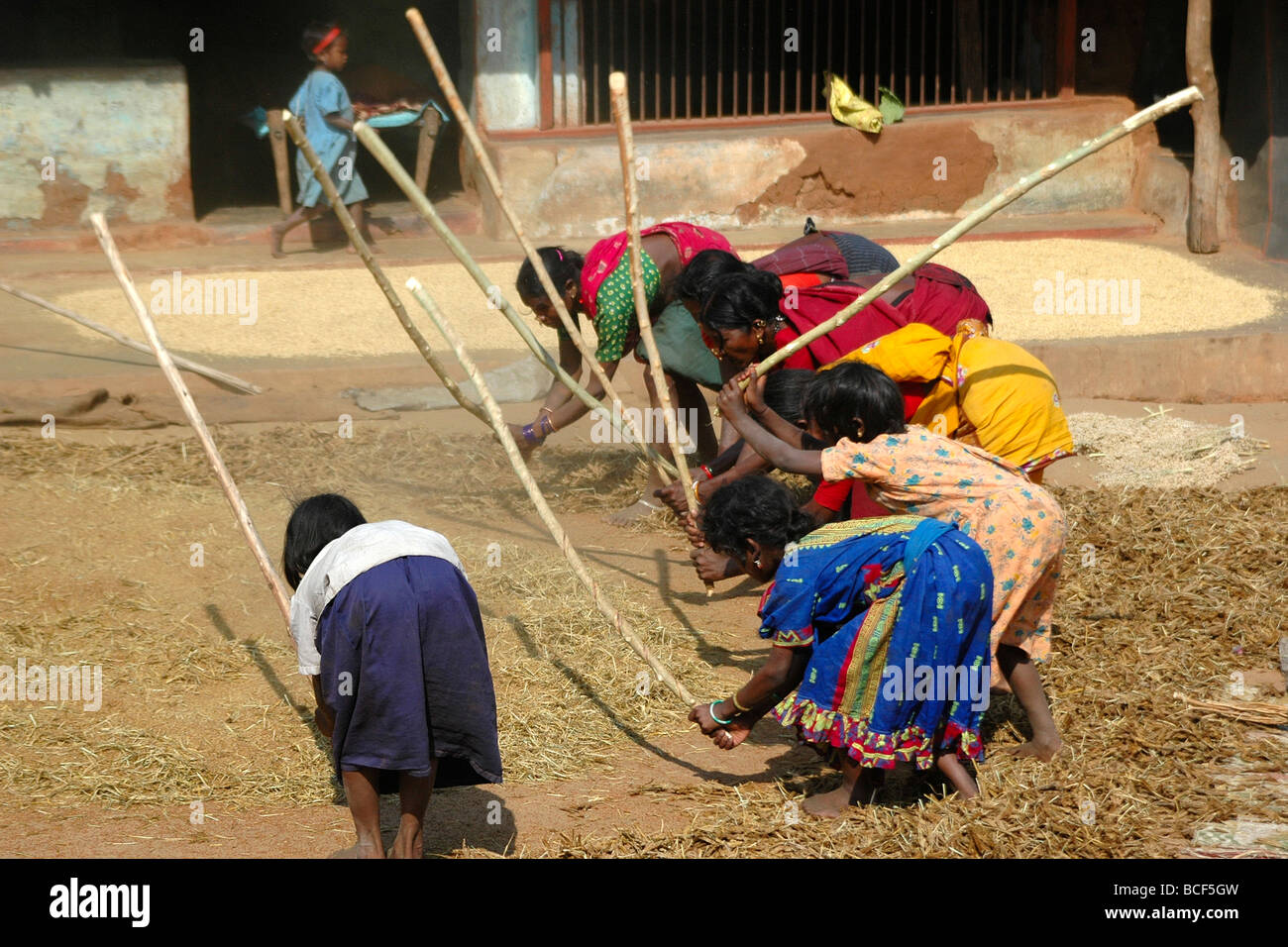 Orissa tribes hi-res stock photography and images - Alamy