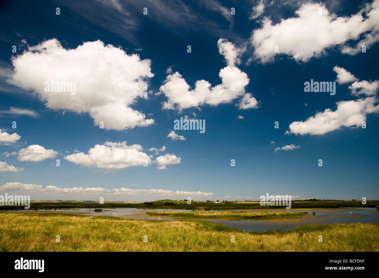 Kent marshes hi-res stock photography and images - Alamy