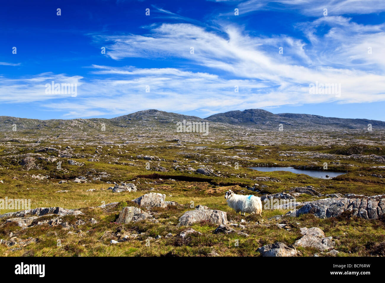 Rocky landscape near Leverburgh Isle of Harris, Outer Hebrides, western ...