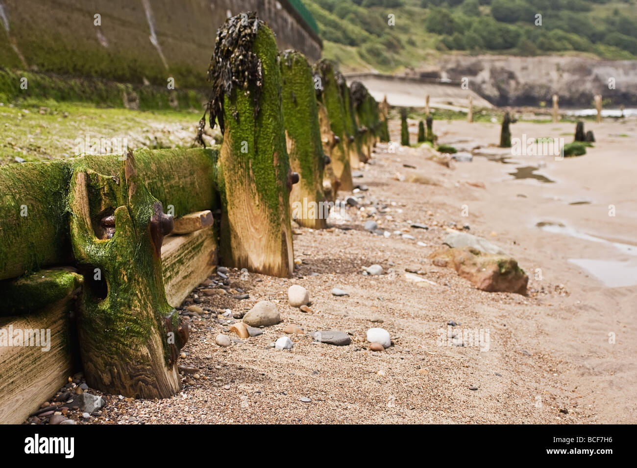 Sea Defence Groynes High Resolution Stock Photography and Images - Alamy