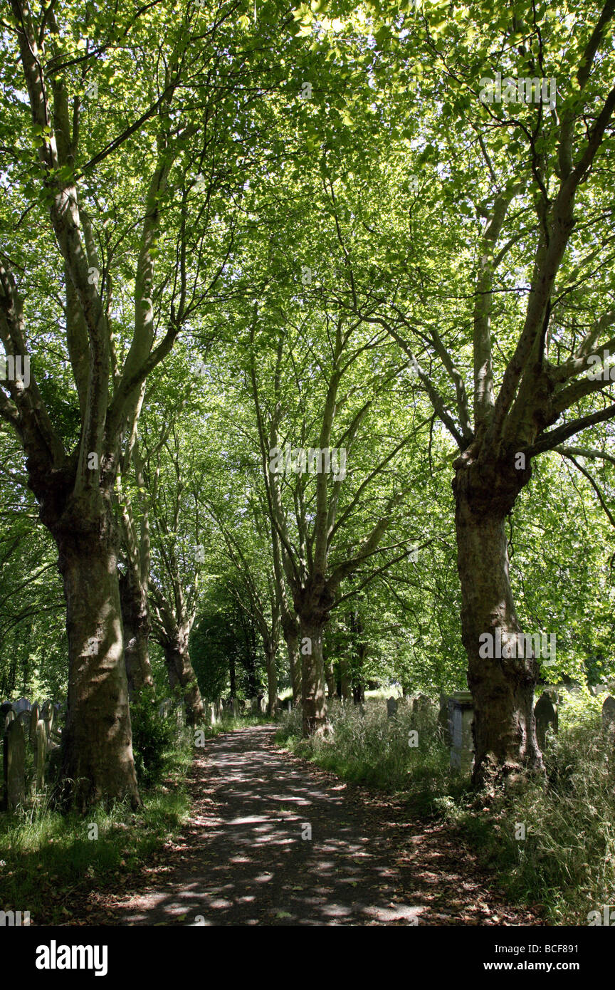 A Walk through Brockley Cemetery, on a hot summers day Stock Photo - Alamy