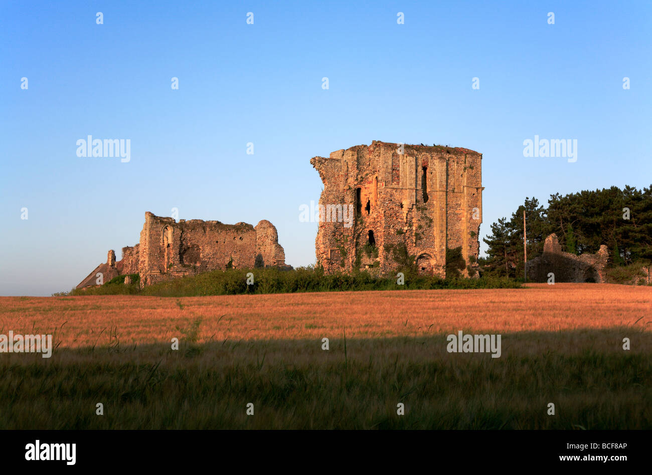 First cluniac monastery hi-res stock photography and images - Alamy