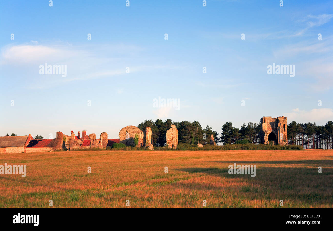 Cluniac order hi-res stock photography and images - Alamy