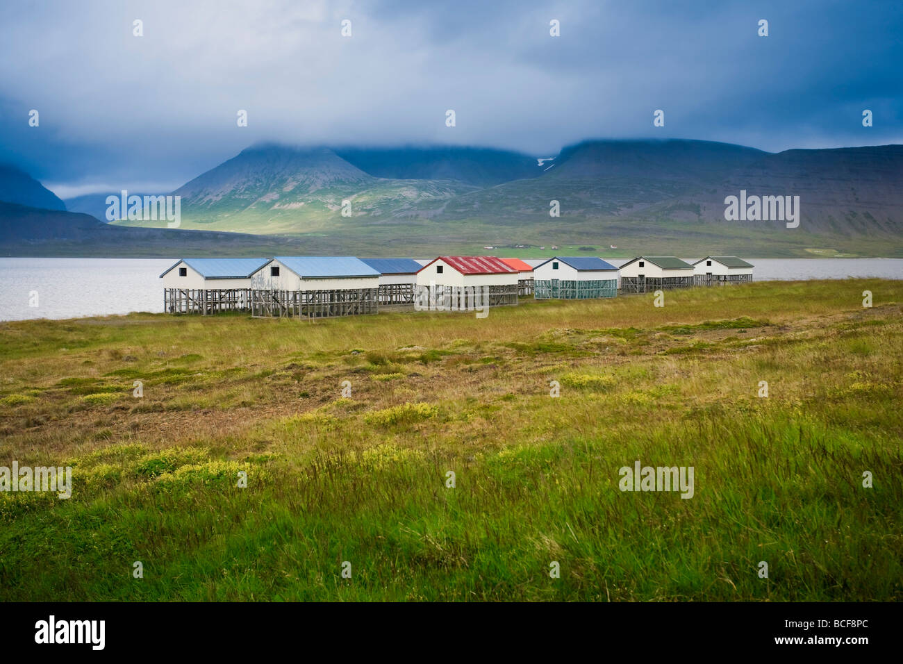Fish drying Houses near Isafjordur, Westfjords, Iceland Stock Photo - Alamy