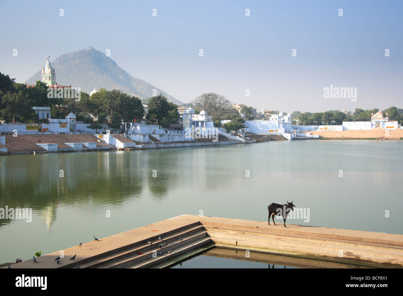 Puskar lake hi-res stock photography and images - Alamy