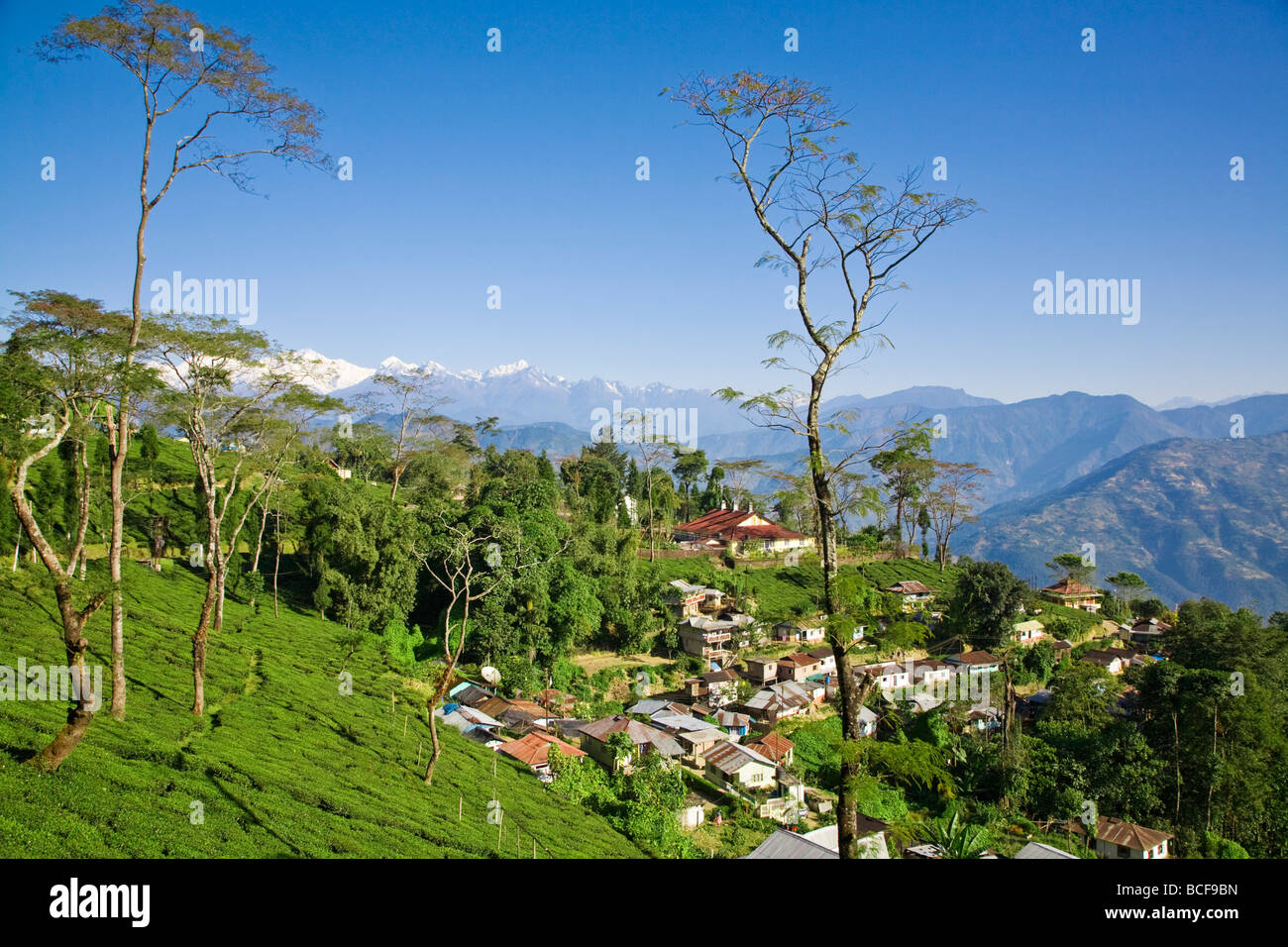 Tukvar india hi-res stock photography and images - Alamy