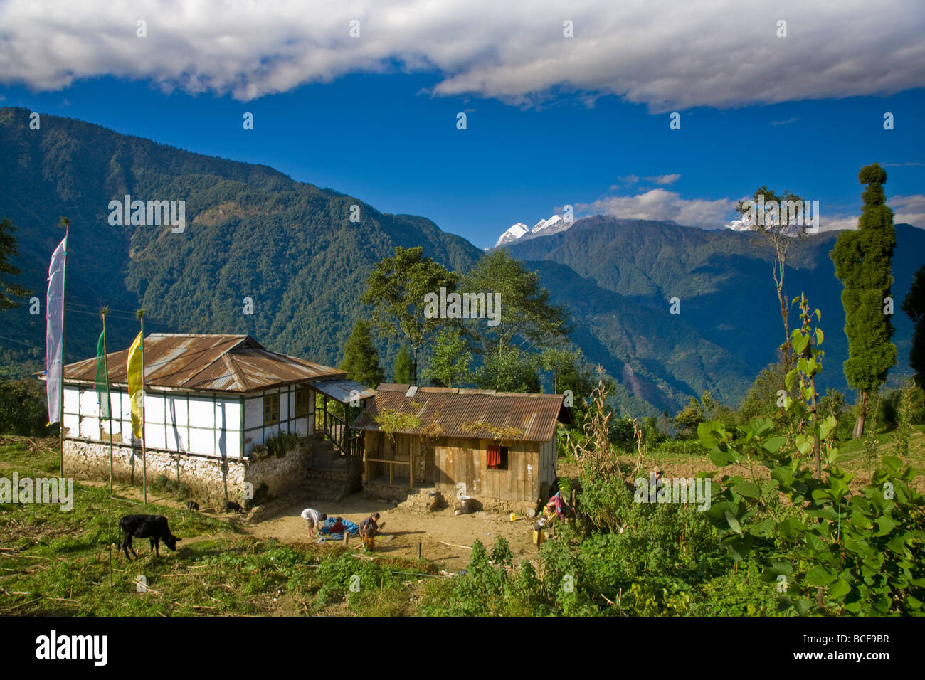 India, Sikkim, Khecheopalri Lake, House with Kanchenjunga range in ...