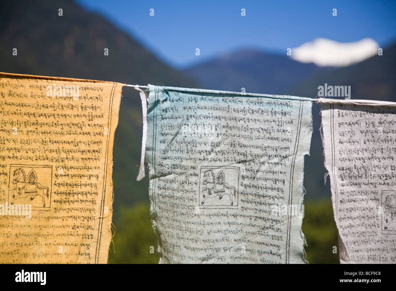 India, Sikkim, Yuksom - Yuksam, Prayer flags and Kanchenjunga Stock ...