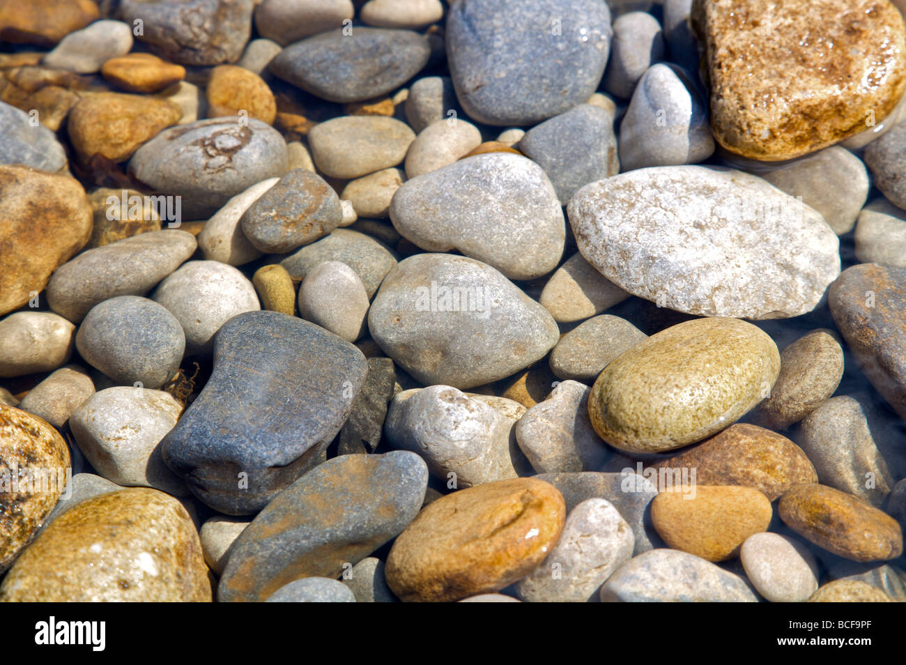 Riverbed pebbles exposed on the banks of the River Wharfe, Bolton Abbey ...