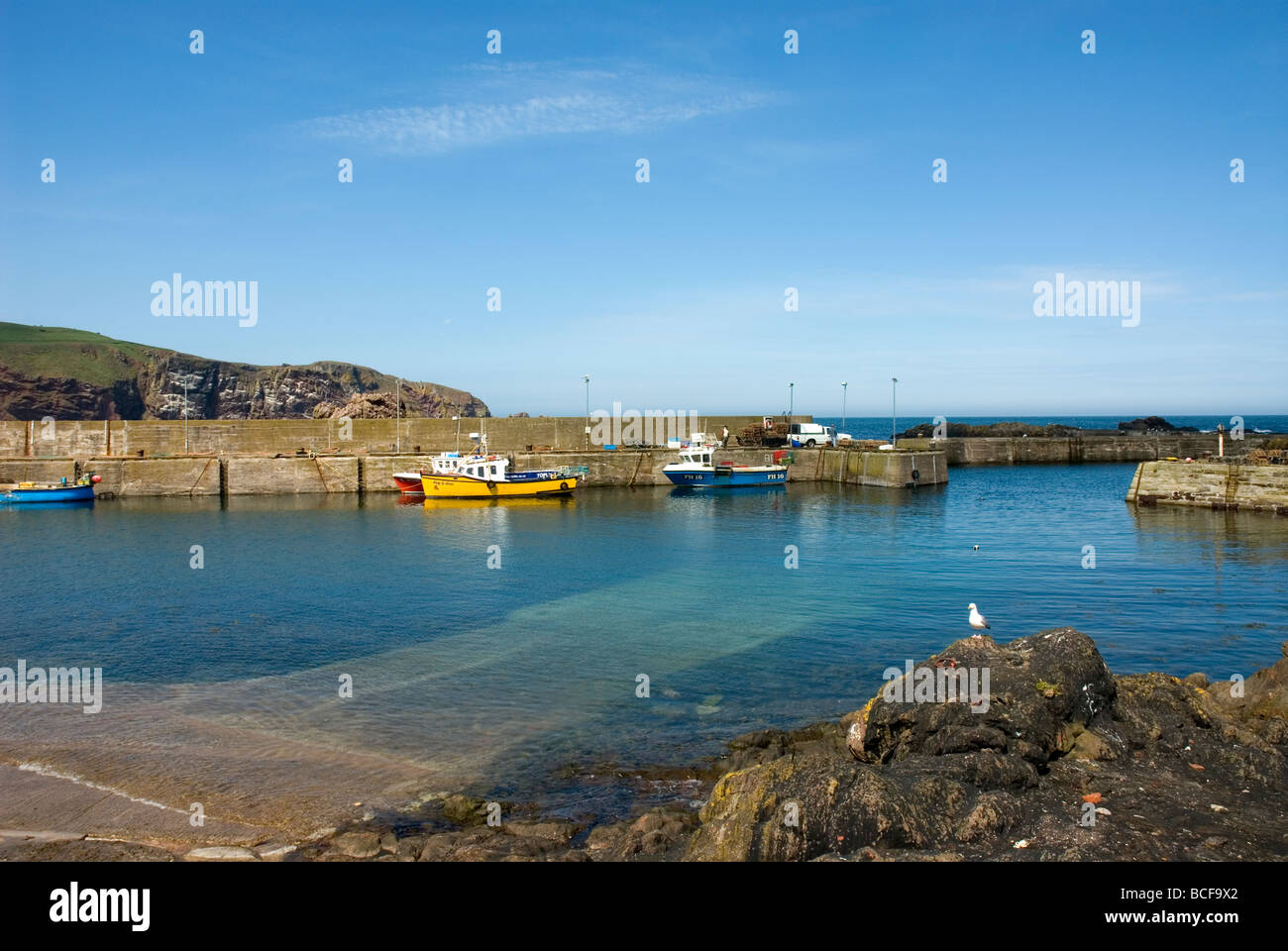 Fishing boats at St Abbs Harbour Scottish Borders Stock Photo - Alamy