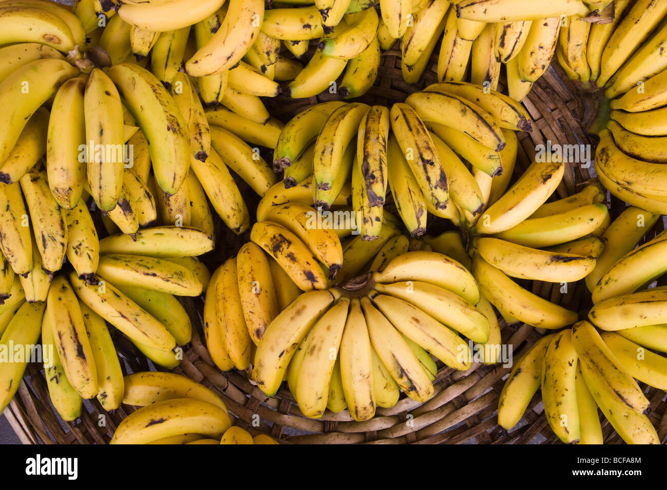 Mauritius, Port Louis, Central Market, bananas Stock Photo - Alamy