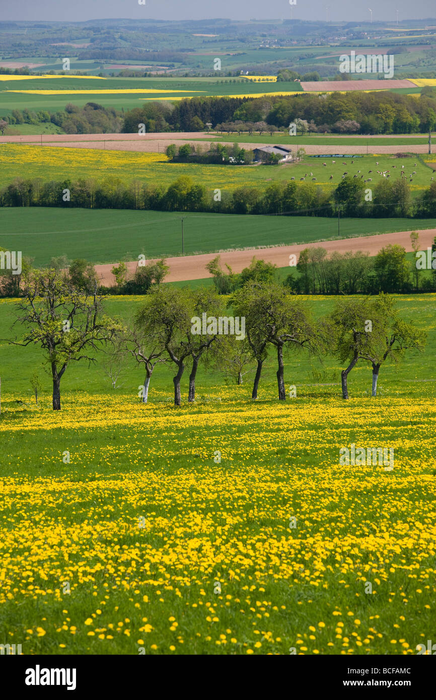 Germany fields hi-res stock photography and images - Alamy