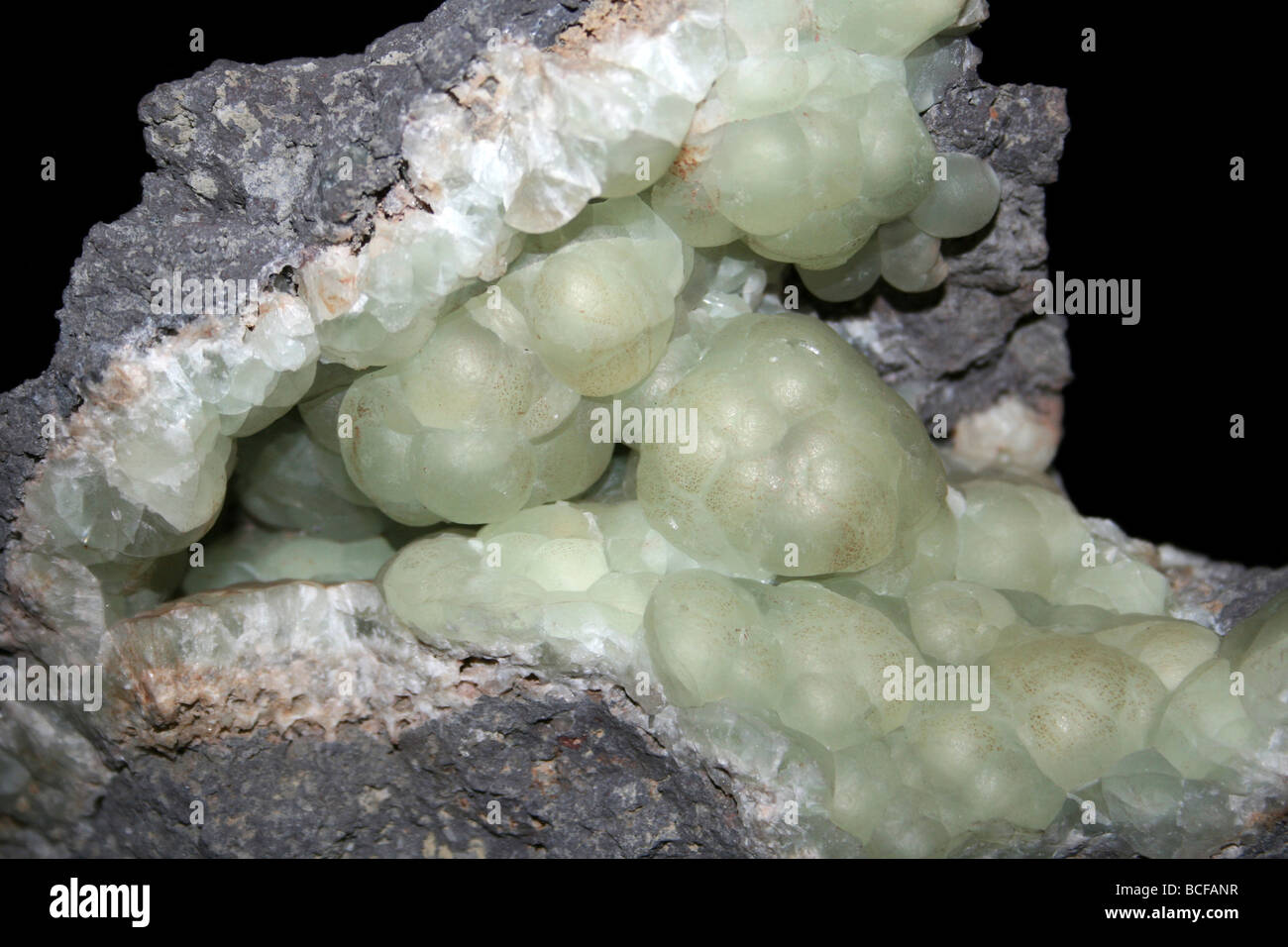 Prehnite from Boylestone Quarry, Barrhead, Strathclyde, Scotland, UK ...