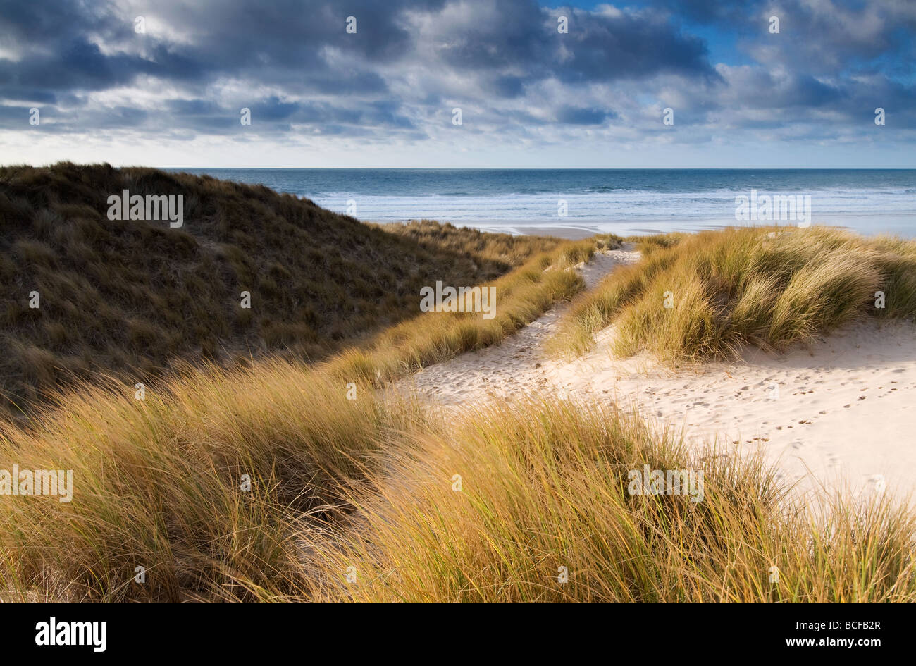 Long grass sand dunes hi-res stock photography and images - Alamy