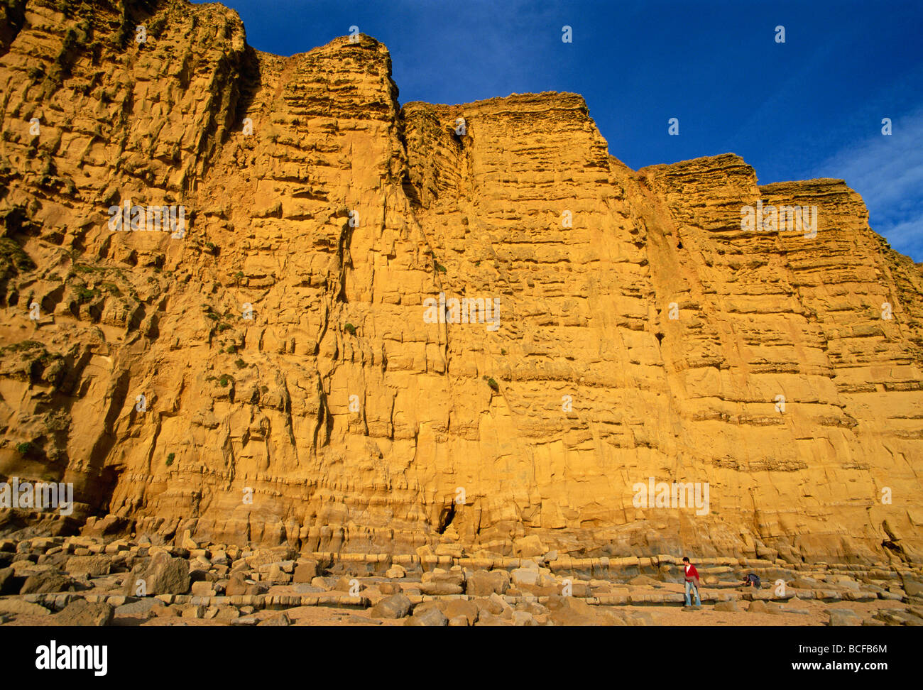 England, Dorset, Cliffs at West Bay Stock Photo - Alamy