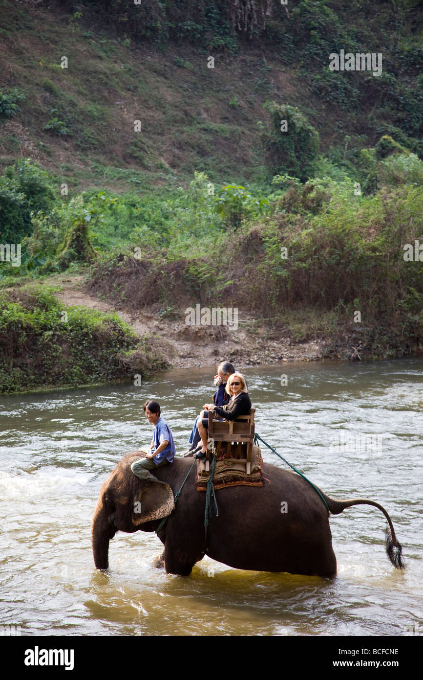 Thailand, Chiang Mai, Elephant Camp, Tourist Elephant Trekking Stock ...