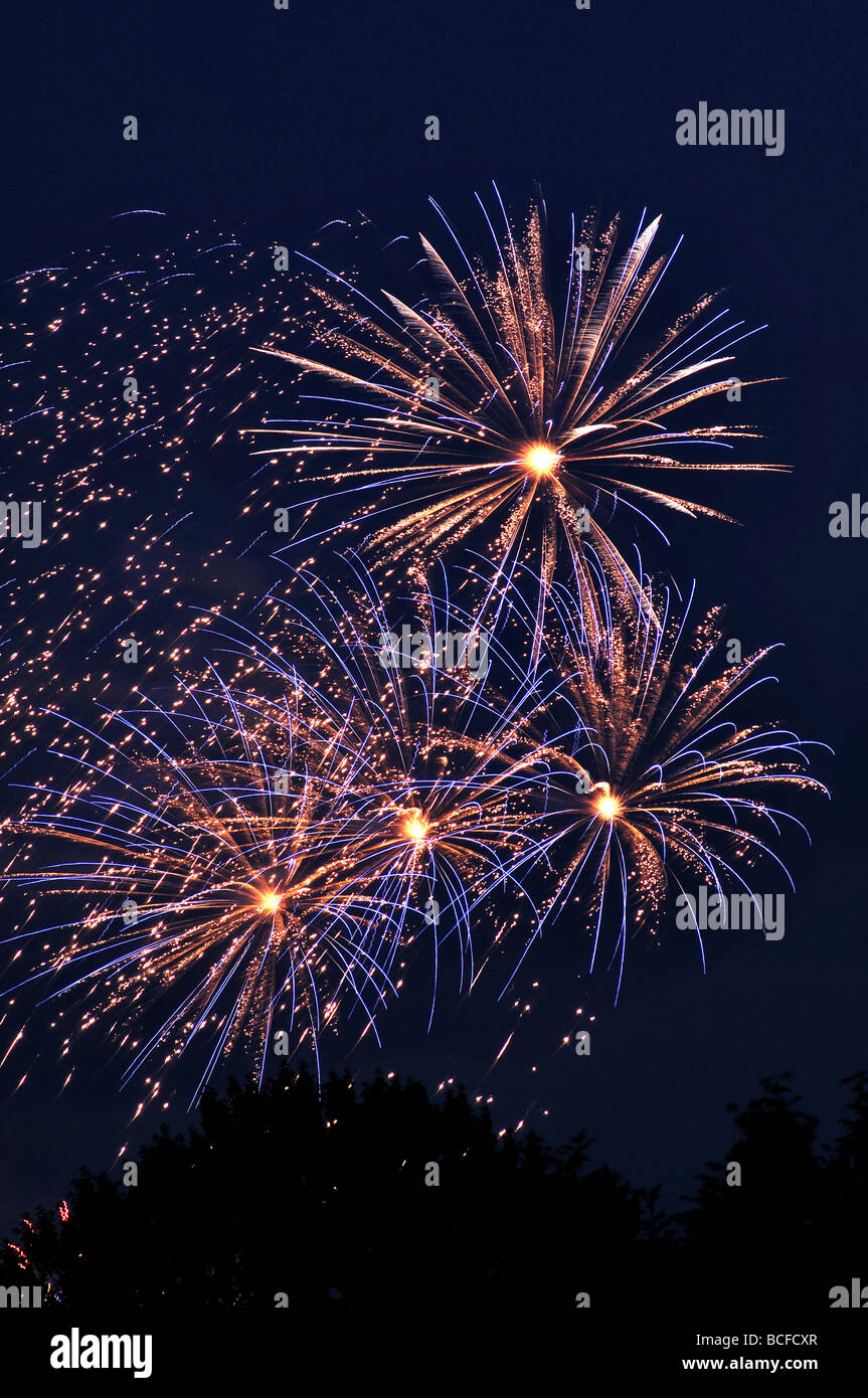 firework fireworks display Stock Photo - Alamy